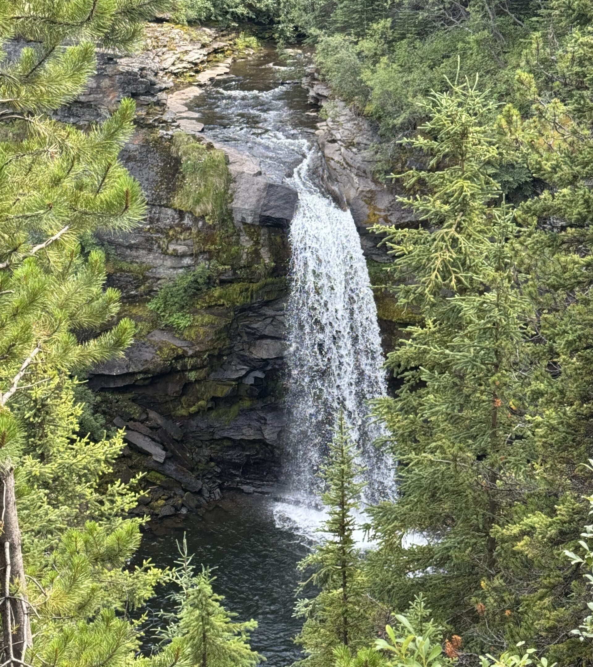 The Essential Itinerary: Tumbler Ridge, B.C. | Canadian Geographic