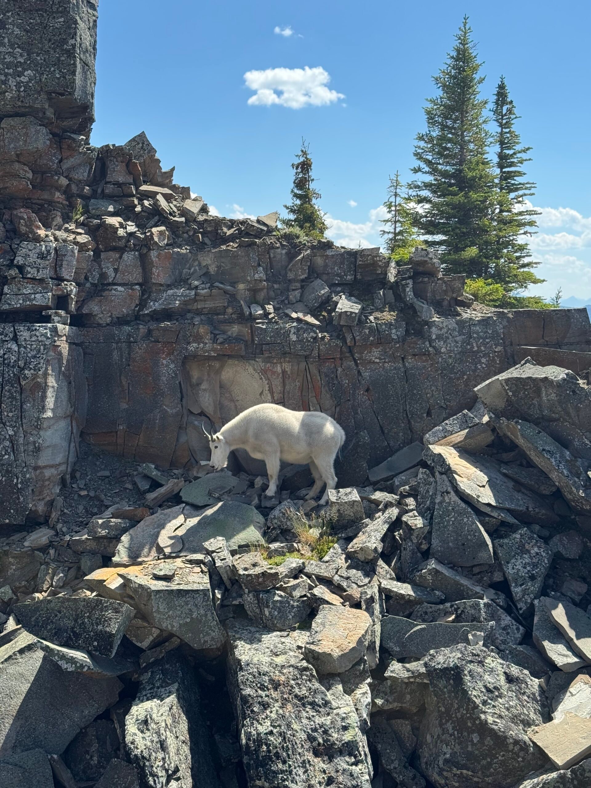 The Essential Itinerary: Tumbler Ridge, B.C. | Canadian Geographic