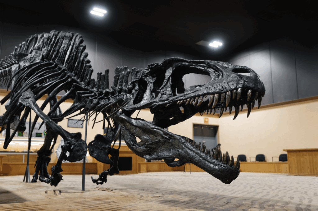 The Essential Itinerary: Tumbler Ridge, B.C. | Canadian Geographic