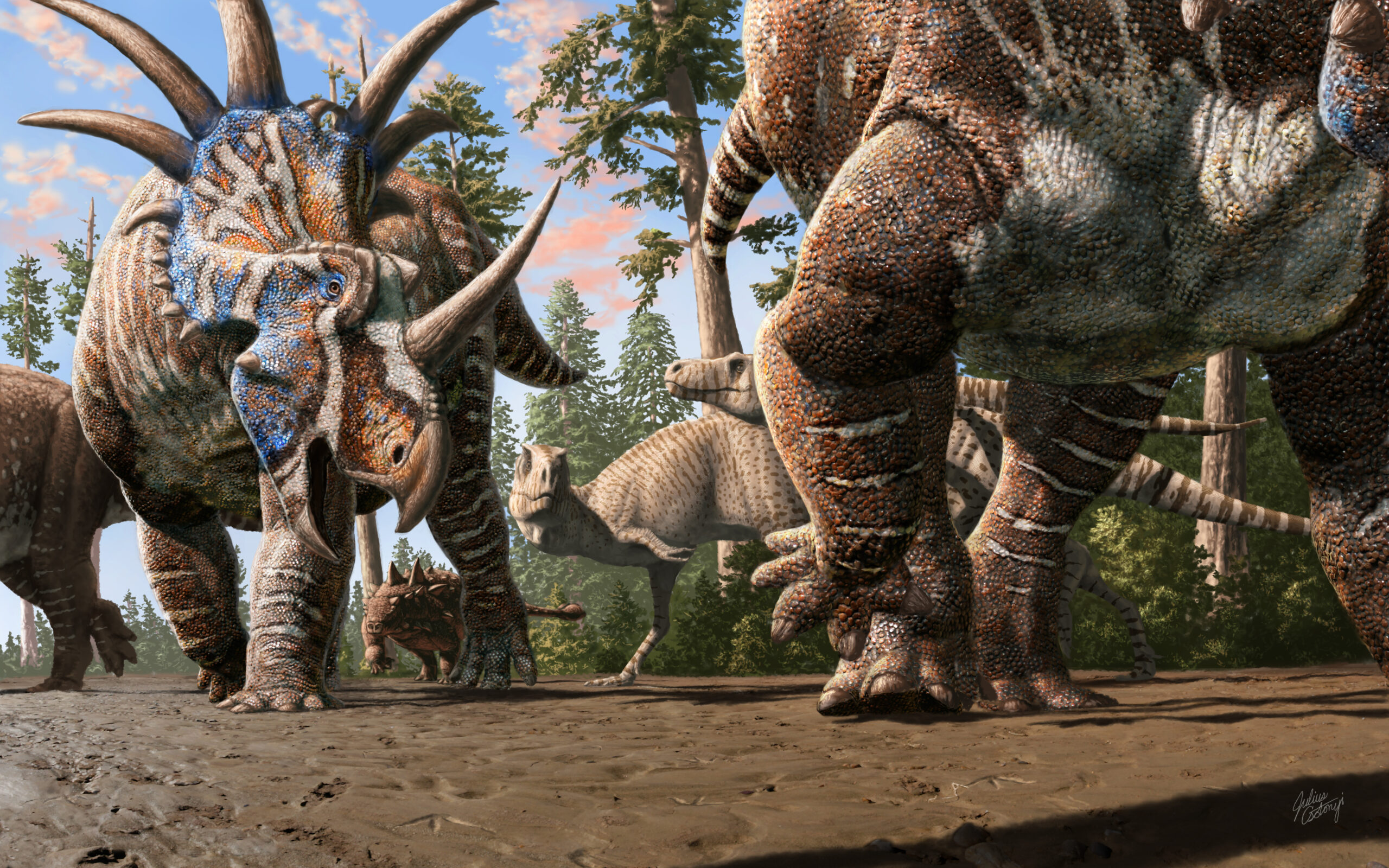Discovery wildlife: New research and animal stories you need to know ...