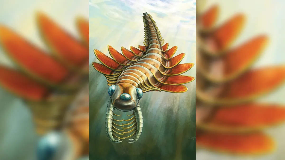Real-life kaiju: What B.C.’s Burgess Shale reveals about bizarre ...