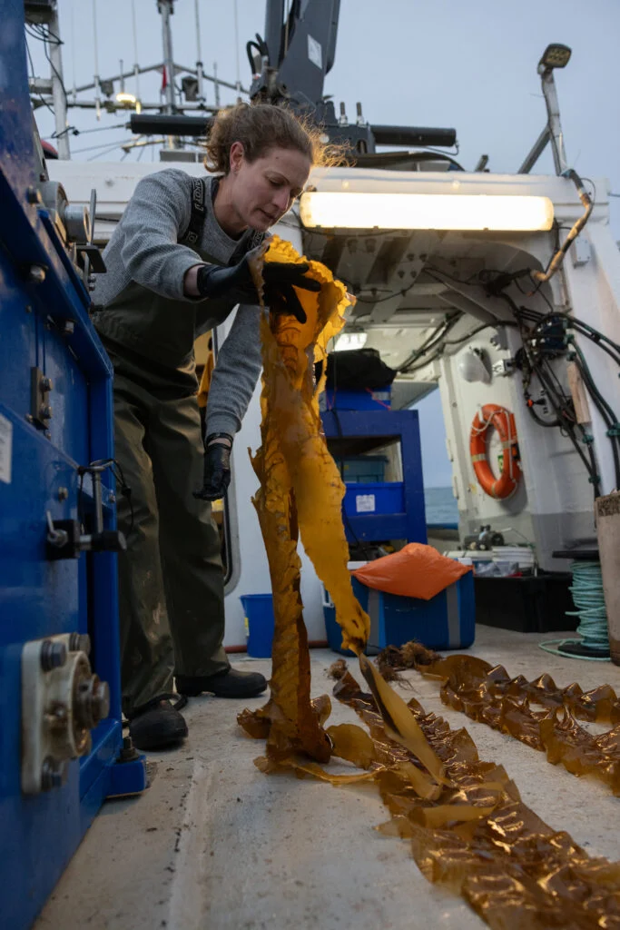 These ambitious expeditions could radically change our understanding of ...