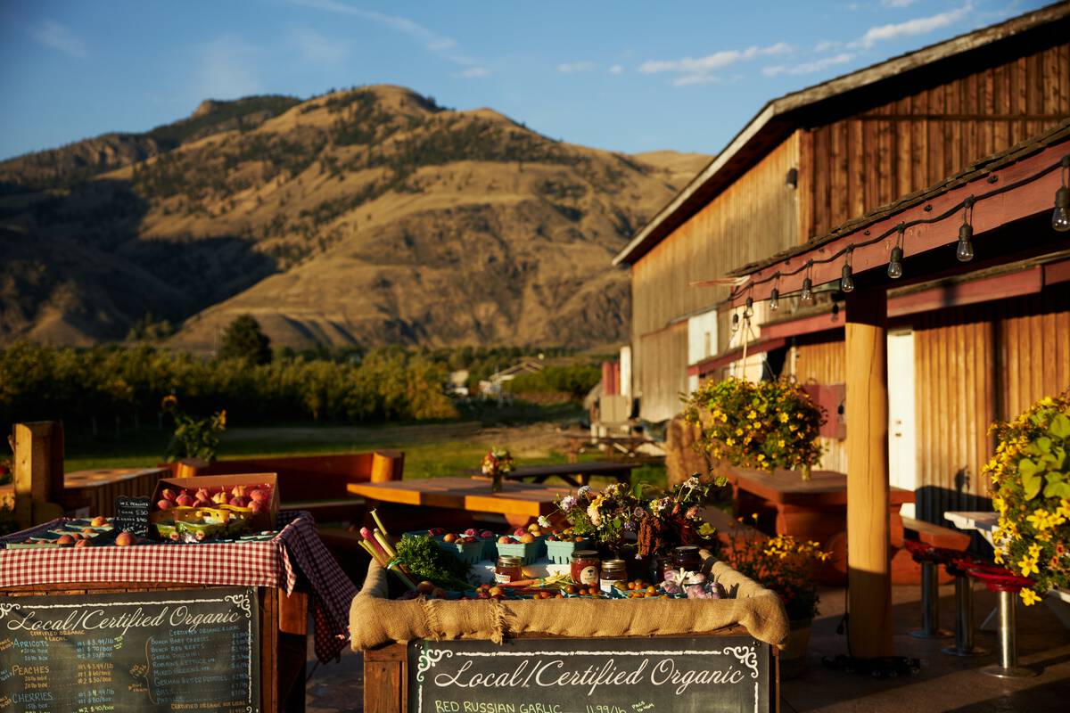 The Essential Itinerary: Cawston, B.C. | Canadian Geographic
