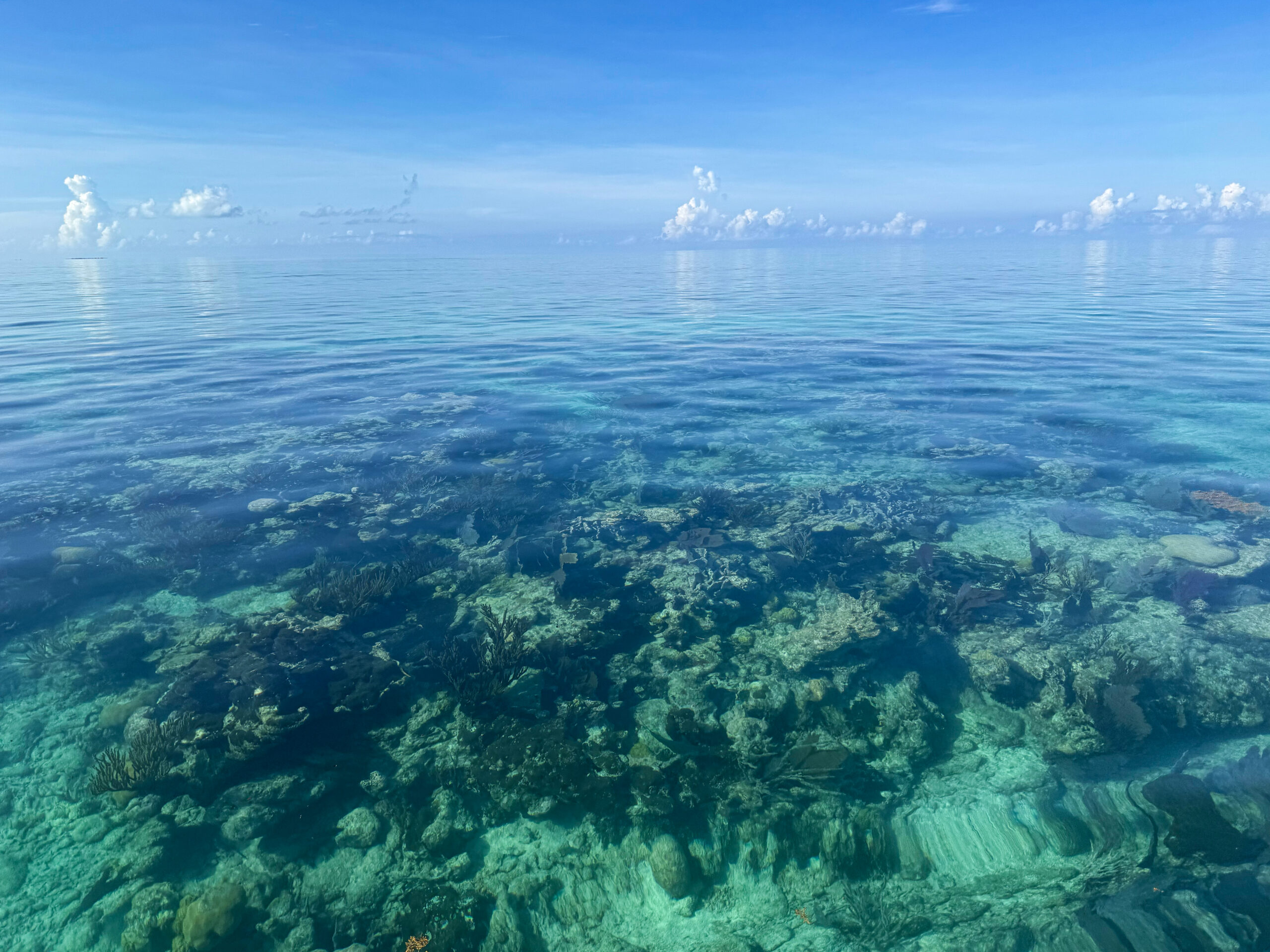 Diving the Great Blue Hole: Is Belize’s most famous dive worth it ...