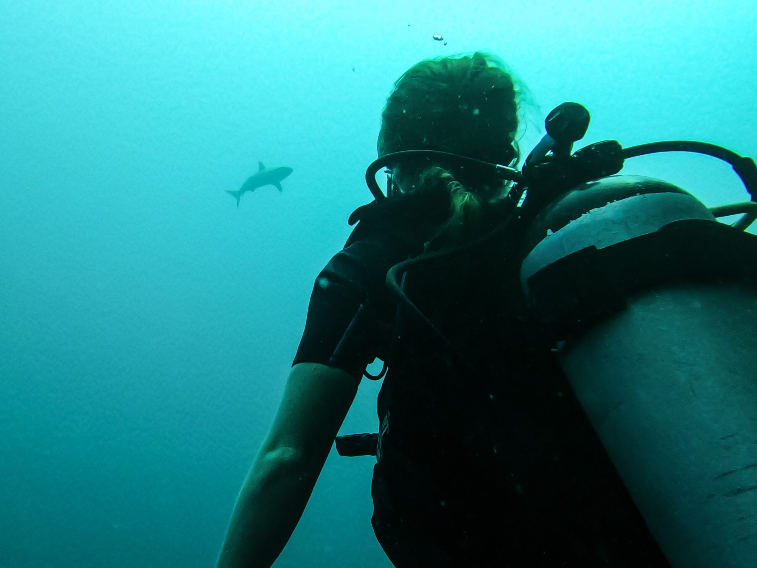Diving the Great Blue Hole: Is Belize’s most famous dive worth it ...