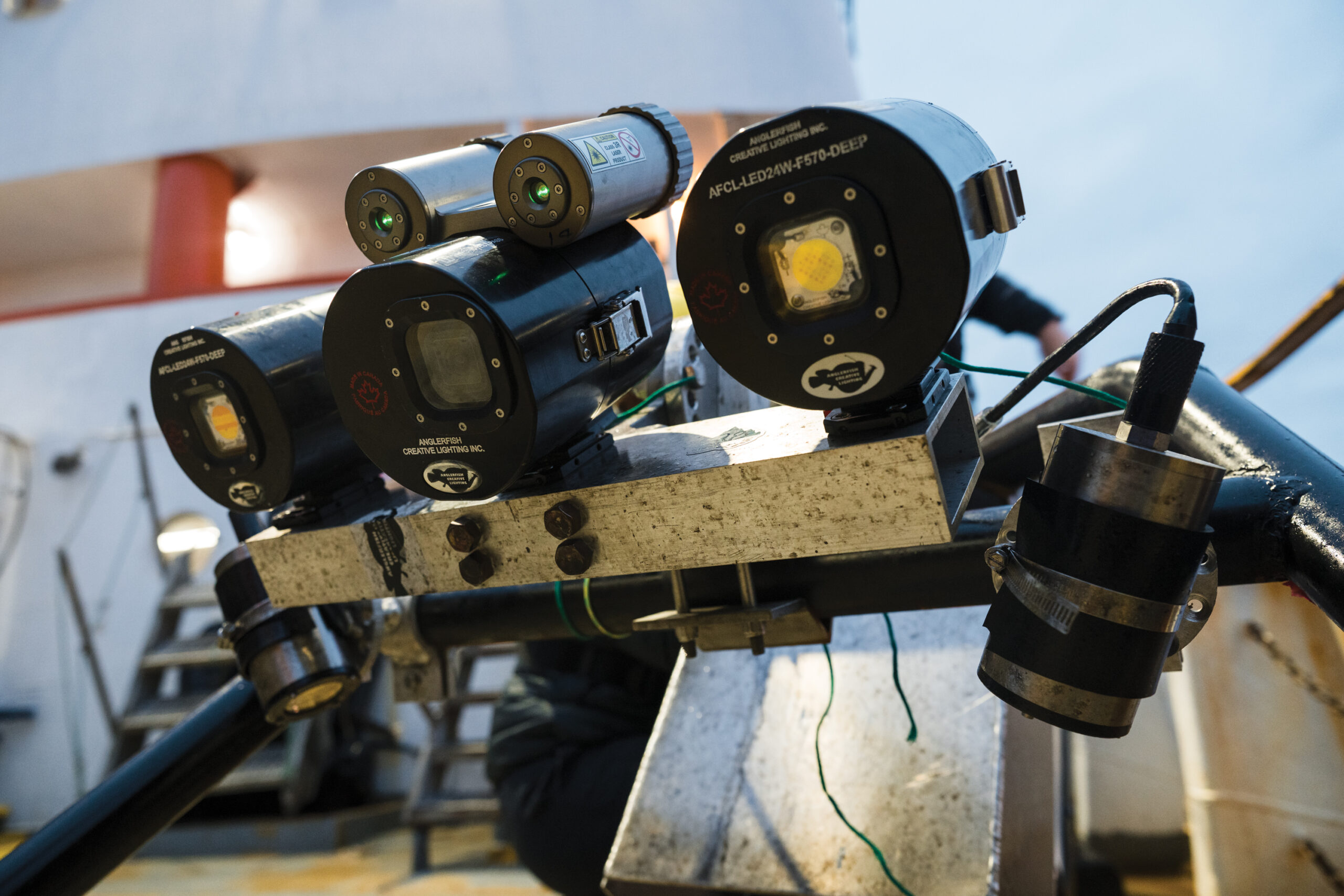 “It’s almost like a treasure hunt:” investigating deepsea corals off ...