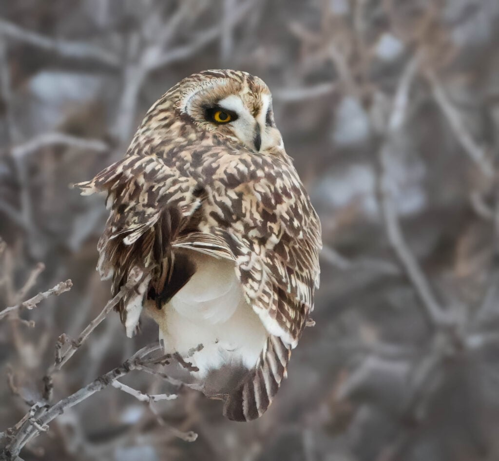 A visit to Quebec’s Baie de L’Isle-Verte National Wildlife Area, where ...