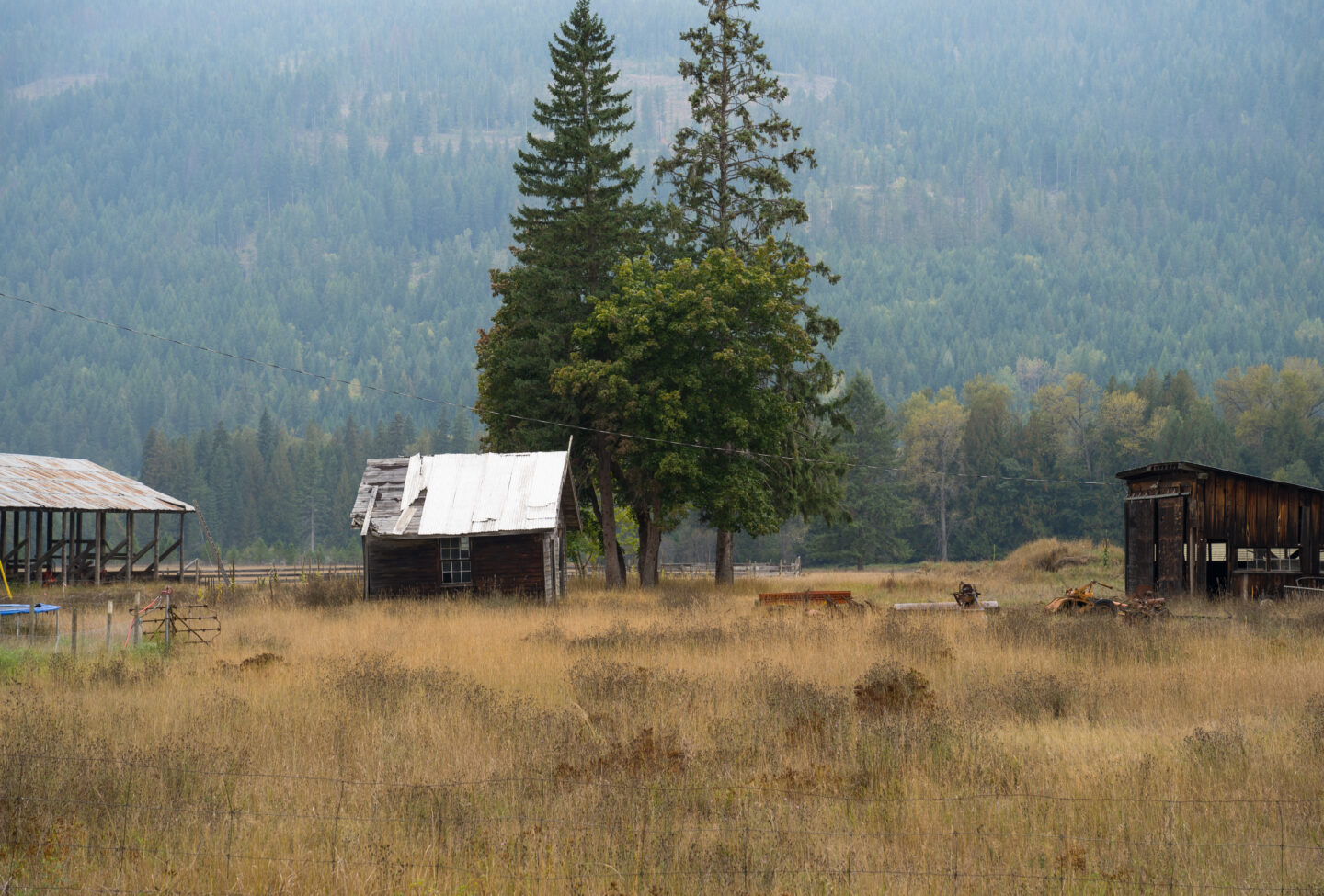 Traces in the valley: on the Japanese Canadian Legacy Trail | Canadian ...