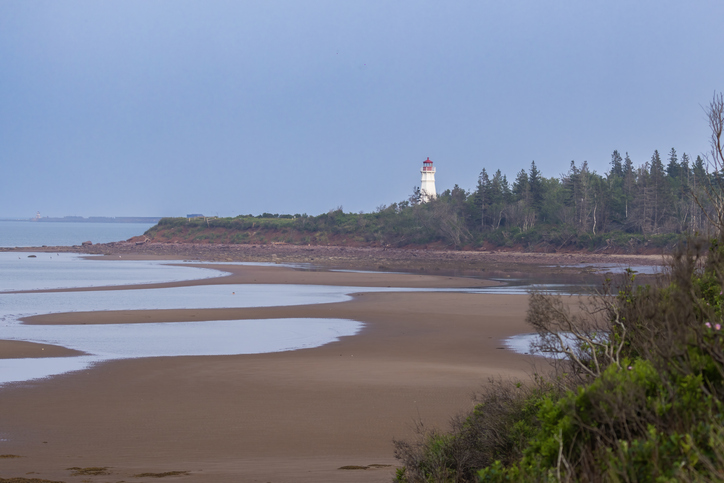 Plan a visit to one of these nine national wildlife areas near cities ...