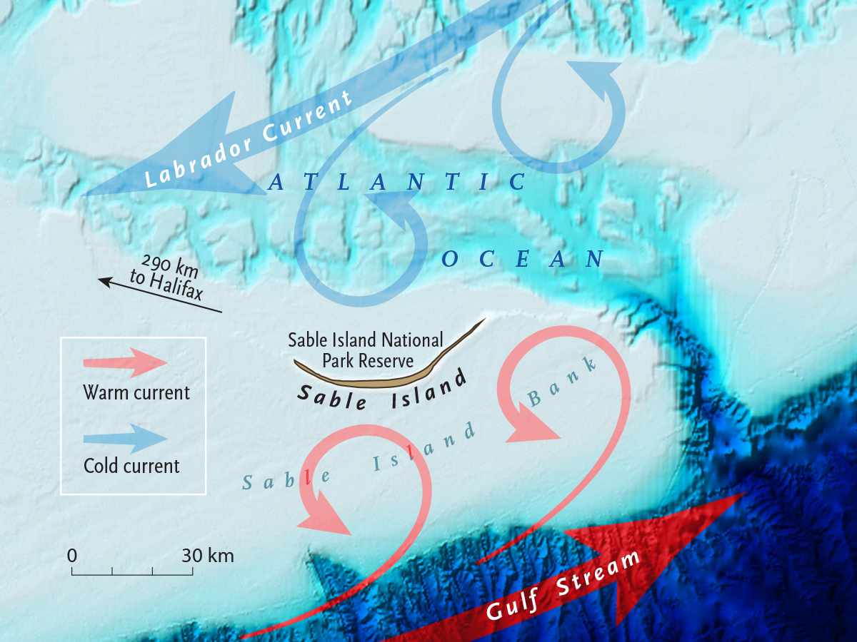 Troubling signs of climate change are showing up on Nova Scotia’s ...