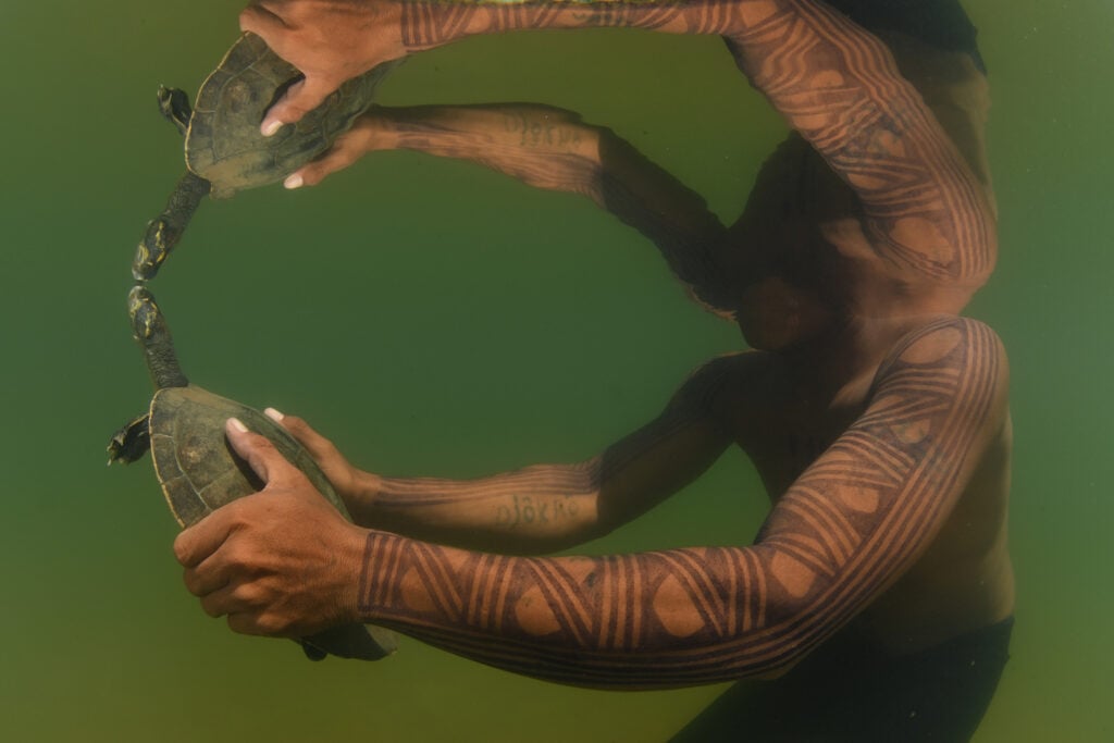 Inside photographer Thomas Peschak’s world of conservation storytelling ...